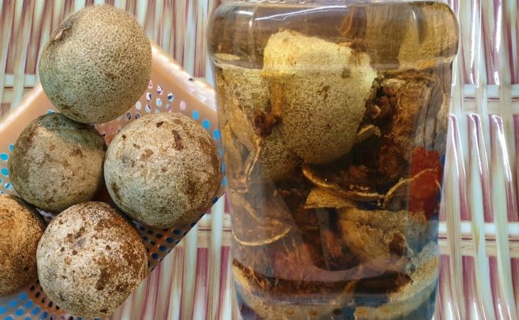 Rượu Quách Là Gì, Có Tốt Không Và Nên Ngâm Thế Nào?