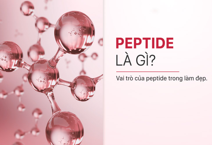 Peptide Là Gì? Công Dụng Và Tác Dụng Phụ Khi Sử Dụng