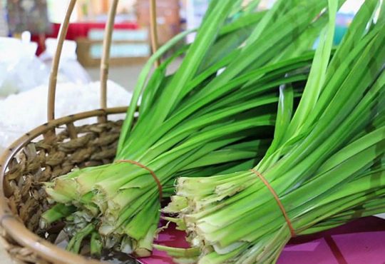 Lá Dứa: Đặc Điểm, Công Dụng Và Các Bài Thuốc Chữa Bệnh